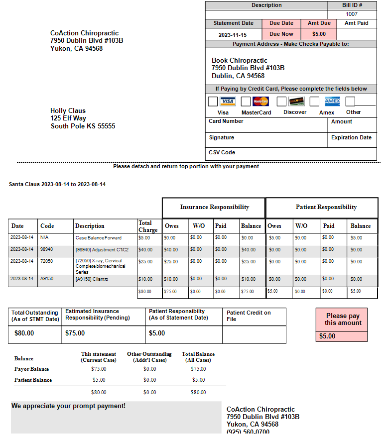 Patient Statement – CoAction Software, Inc.