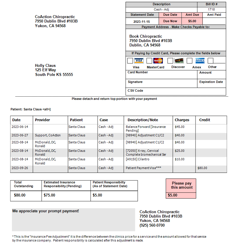 Patient Statement – CoAction Software, Inc.