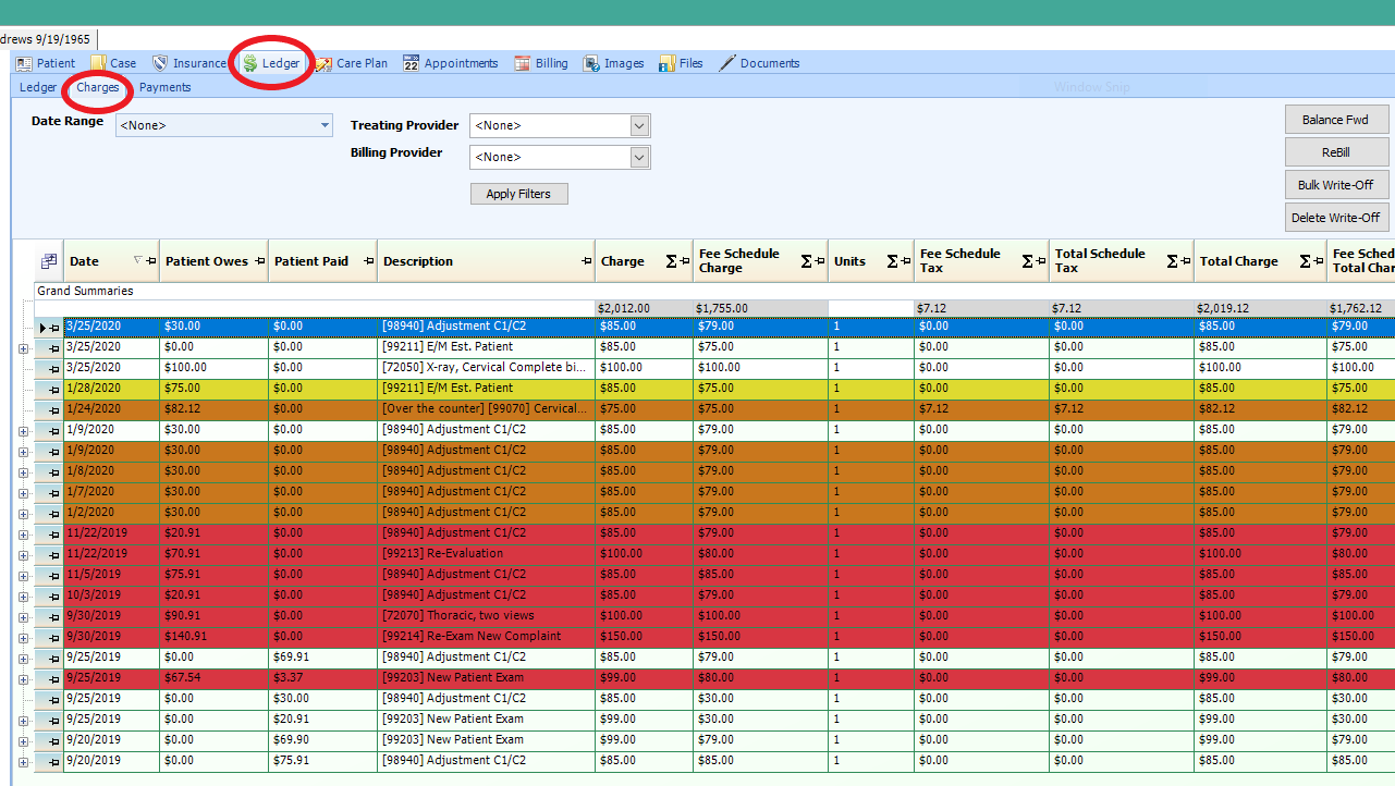Understanding A Patient's Ledger – CoAction Software, Inc.