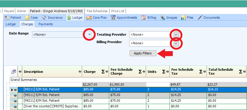 Understanding A Patient's Ledger – CoAction Software, Inc.