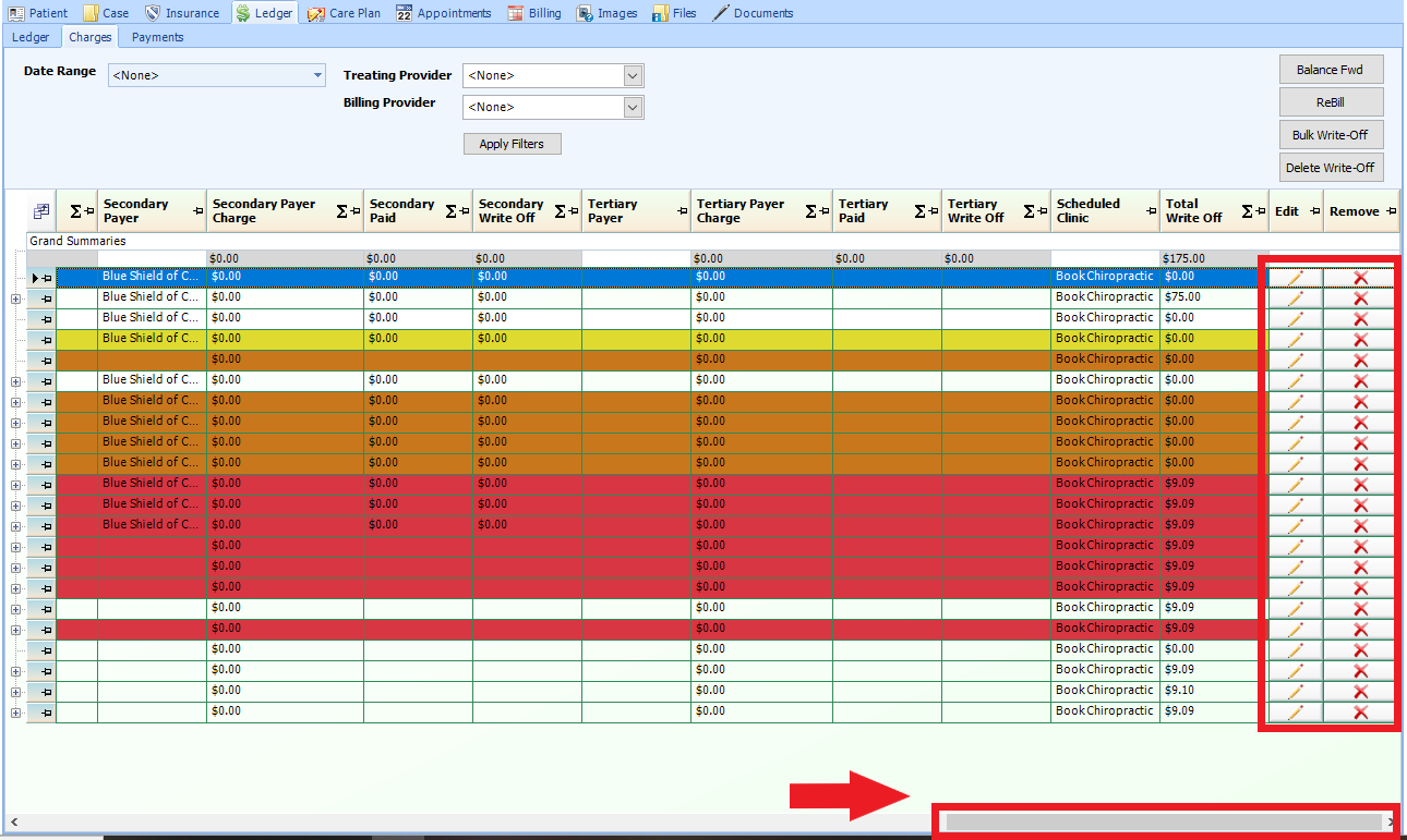 Understanding A Patient's Ledger – CoAction Software, Inc.