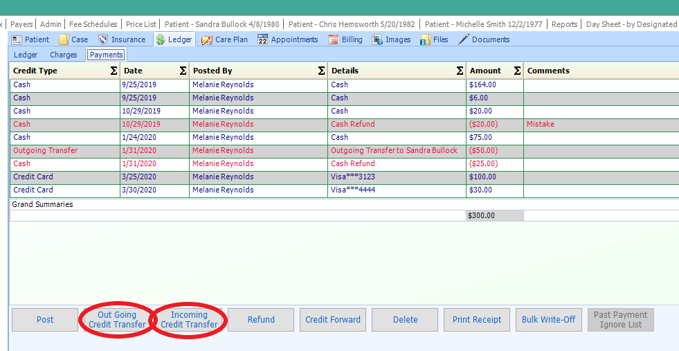 Understanding A Patient's Ledger – CoAction Software, Inc.