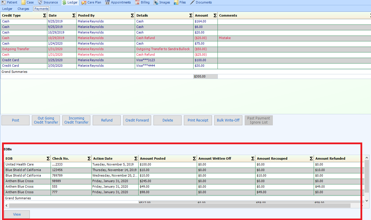 Understanding A Patient's Ledger – CoAction Software, Inc.