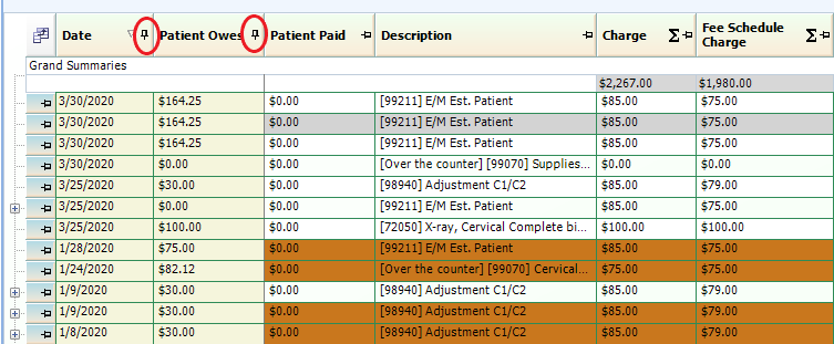 Understanding A Patient's Ledger – CoAction Software, Inc.
