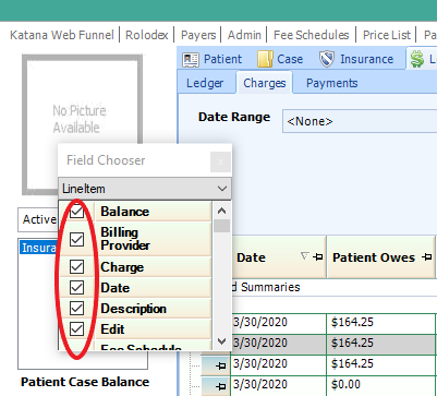 Understanding A Patient's Ledger – CoAction Software, Inc.