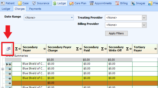 Understanding A Patient's Ledger – CoAction Software, Inc.