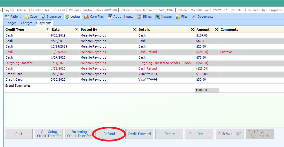 Understanding A Patient's Ledger – CoAction Software, Inc.